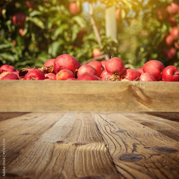 Everything You Need to Know About Apples - The Orchard Master